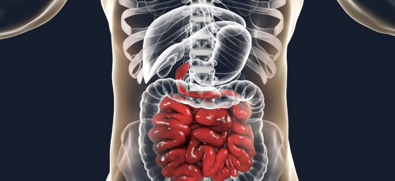 Finding The Best Life Insurance With IBS In 2025 - PinnacleQuote