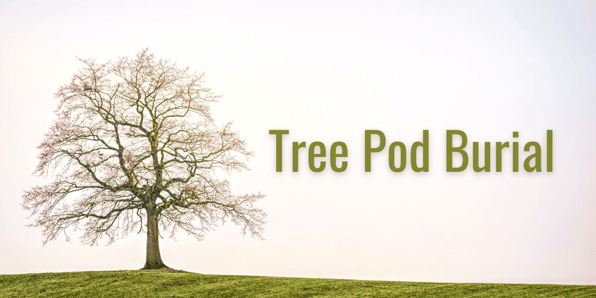 Simple Guide To Tree Pod Burial In 2025 - PinnacleQuote